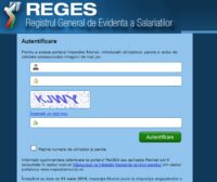 Aplicația REGES Online 2025